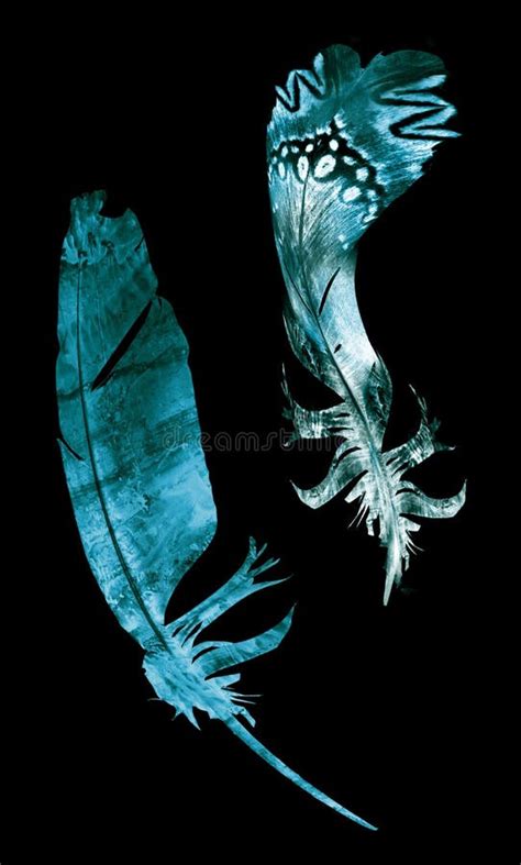 Watercolor Feathers Isolated On White Stock Image Image Of Grace