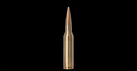 338 Norma Magnum 300gr Norma