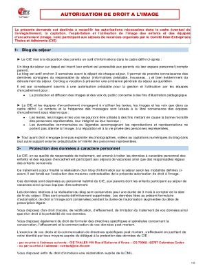 Remplissable En Ligne AUTORISATION DE DROIT A L IMAGE Fax Email