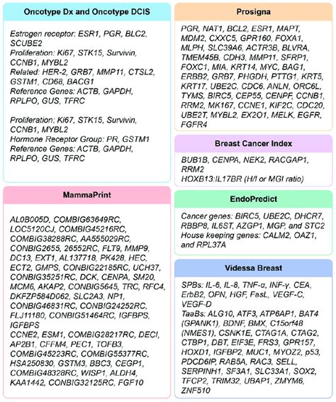 Geneprotein Signatures Of The Prognosticpredictive Multigene Tests