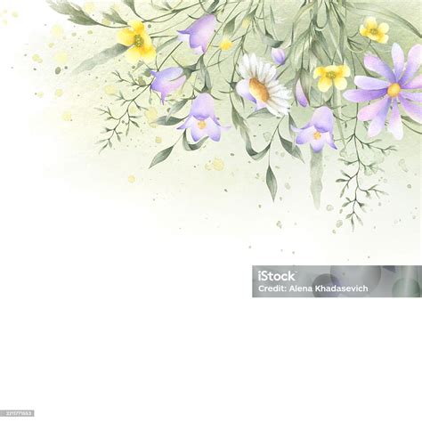 수채화 야생화 라일락 도라지 노란 미나리아재비 카모마일 초원 풀 녹색 얼룩에 손으로 그린 고립 된 사각형 프레임과 초대장 엽서 및 카드를위한 복사 공간이있는 스플래쉬 0명에