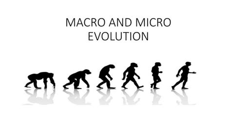 Evolution Macro And Micro Evolution Pptx