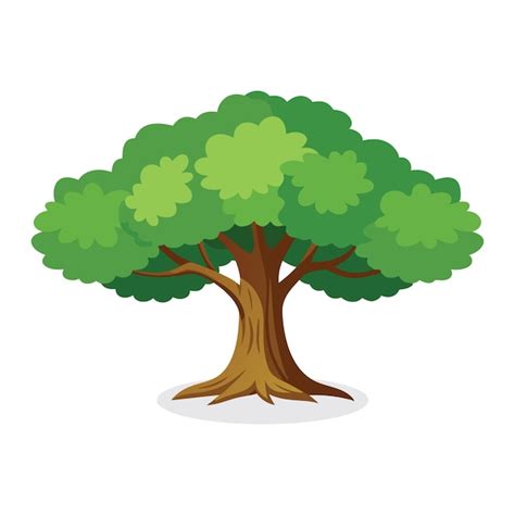 Premium Vector Oak Tree Flat Vector Illustration On White Background