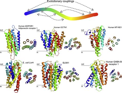 Three Dimensional Structures Of Membrane Proteins From Genomic