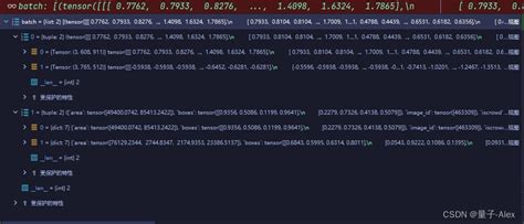 【detr系列目标检测算法代码精讲】01 detr算法03 dataloader代码精讲 detr目标检测代码 csdn博客
