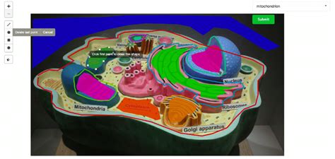 section of a screenshot of the cellmap editing tool on a private