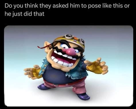 What Did He Mean By This Do You Think They Asked Him To Pose Like