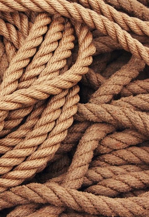 type safe c bindings 2 handling flexible array members with ocaml