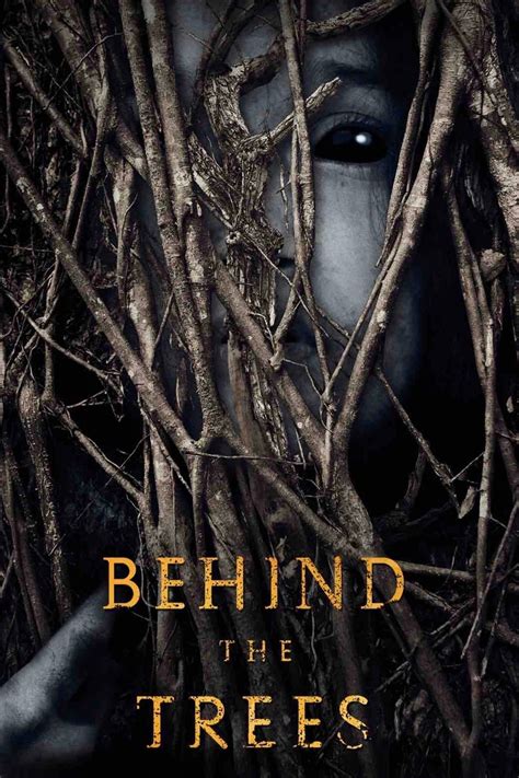 Assistir O Segredo Da Floresta 2019 Legendado Online Overflix