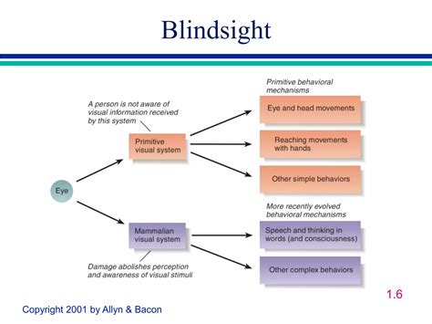 CH1 Lesson 1 Foundations Of Physiological Psychology Ppt