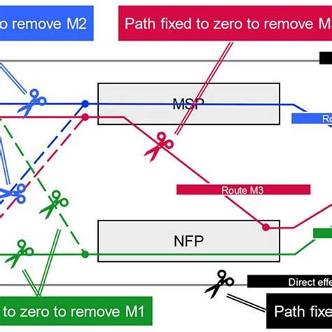Modifications Of Complete Models S1 And C1 To Test Which Transmission Download Scientific