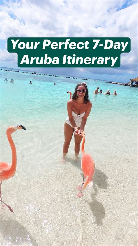 How To Visit Flamingo Beach Aruba Day Passes Cost Tips For Your Trip