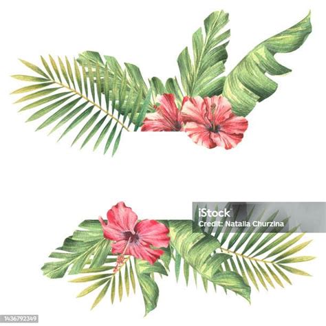 붉은 히비스커스 꽃이있는 열대 야자 잎 수채화 그림 Cuba 컬렉션의 프레임입니다 초대장 인증서 포스터 메뉴 광고 해변의 등록