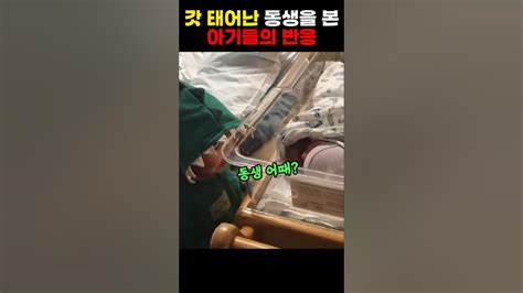 갓 태어난 동생을 처음으로 마주한 아기들의 리액션 Youtube