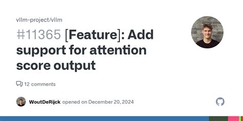 Feature Add Support For Attention Score Output · Issue 11365 · Vllm