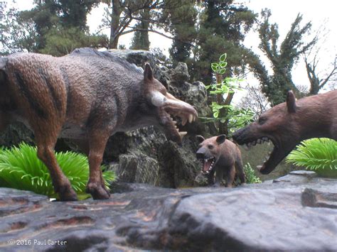 Daeodon Vs Hyaenodon Gigas By Carnosaur On Deviantart