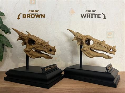 Dino Skull Dracorex 3d Print Replica 18cm Height Etsy