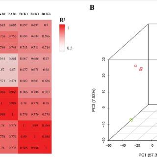 Correlation Analysis And Principle Component Analysis PCA In Leaves Download Scientific
