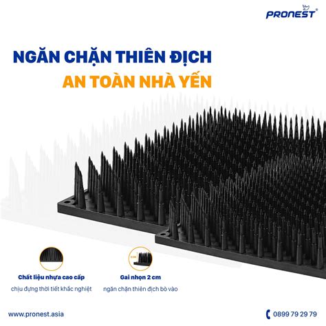 Yến Pronest NgĂn ChẶn ThiÊn ĐỊch An ToÀn NhÀ YẾn Với Tính Chất Bò