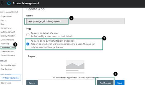 Deploy The Application To Rtf Classic Runtimeonprem And Cloudhub In