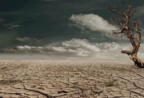 Dry Synonyms And Related Words What Is Another Word For Dry