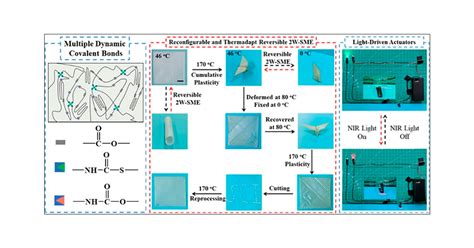Arbitrarily Reconfigurable And Thermadapt Reversible Two Way Shape Memory Polythiourethane