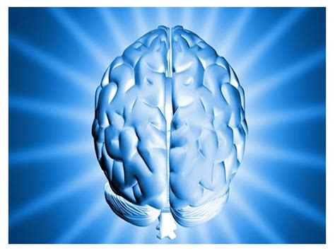¿puede Rejuvenecer El Cerebro Amhi Internacional