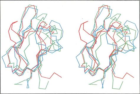 Superposition Of The Ca Backbones Of Bccp Red Lipoylated H Protein