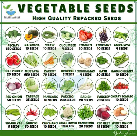 Philippine Vegetable Seeds