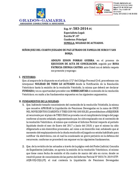 Nulidad De Actos Procesales Pdf Ley Procesal Esfera Pública