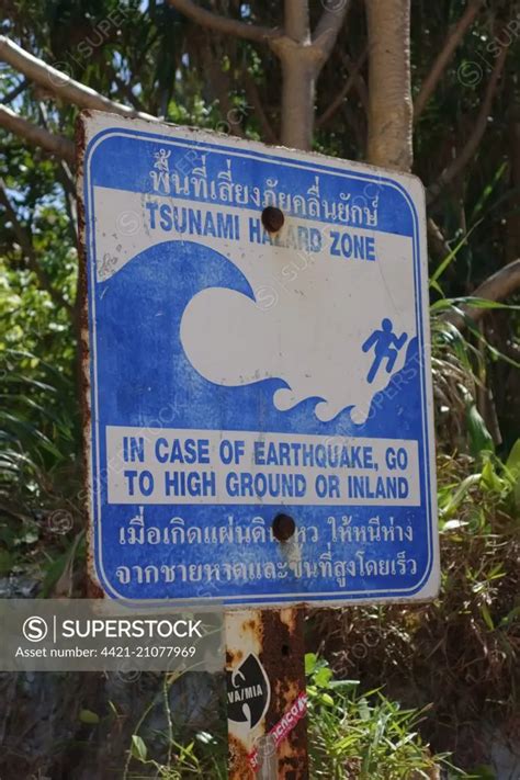 Tsunami Hazard Zone Sign On Beach Maya Beach Koh Phi Phi Island