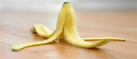 Casca De Banana Usos