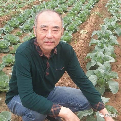 张海峰 夜市滋味 摄影 西宁 生活
