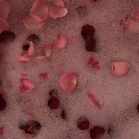 Yandere Howleen Wolf X Reader Artofit