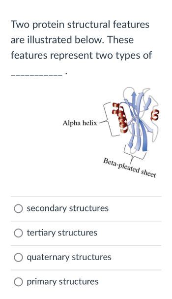 Answered Two Protein Structural Features Are Illustrated Below These