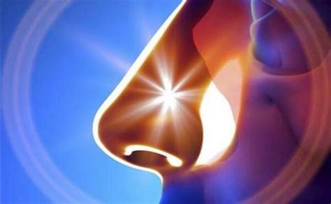 鼻炎怎么保健最有效鼻炎症状治理全攻略 鼻炎 保健 有效 新浪新闻