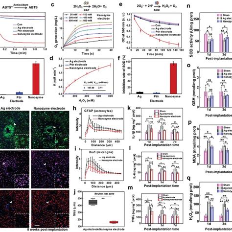 Xiaodong Zhang Professor Tianjin University Tianjin Tju Department Of Physics
