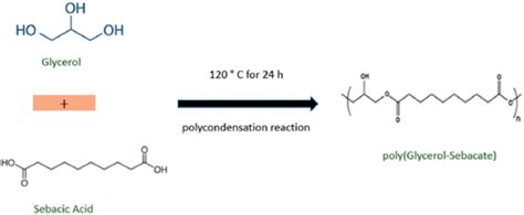 Synthesis Process Of Poly Glycerol Sebacate Pgs Download Scientific Diagram