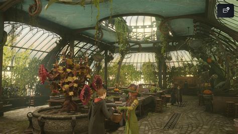 Hogwarts Legacy How To Complete Herbology Class Walkthrough Gameranx