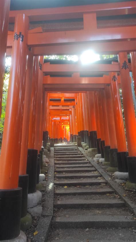 京都東山トレイル 西野山・稲荷山・今熊野山・清閑寺山・清水山・東山 ヒロマナさんの京都一周トレイルの活動データ Yamap ヤマップ