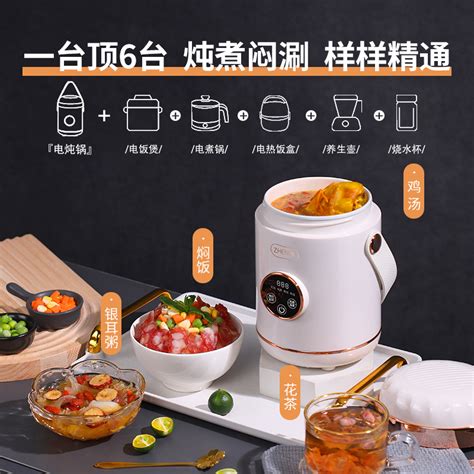 臻米私享电炖锅煮粥神器便携式电煮锅家用小型炖盅杯全自动煲汤锅 虎窝淘