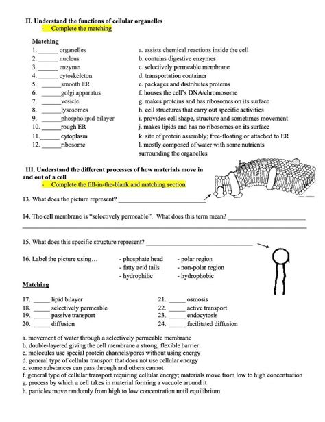 Solved I Identifying Cell Organelles 1 Read P 75 84 In