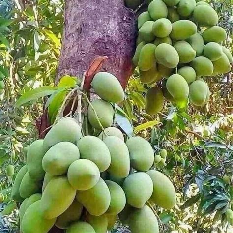 Ruby Jp ️ のroom 欲しい に出会える。