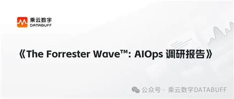 乘云数字databuff 云监测领导者，助力企业数字化转型