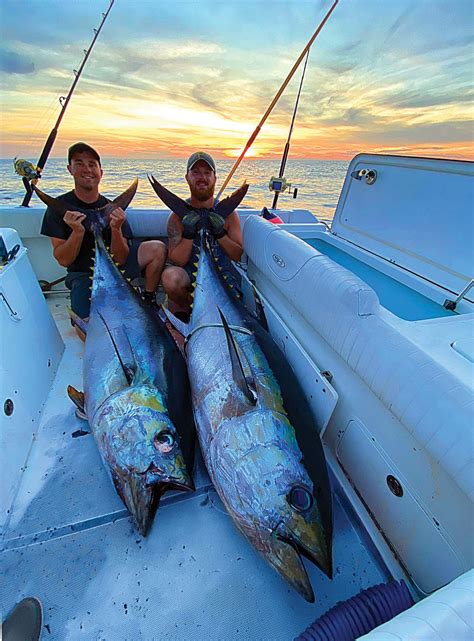 Big Eye Tuna Spread