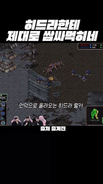 히드라한테 제대로 쌈싸먹히네 스타크래프트 저그 히드라 스타플레이 Youtube