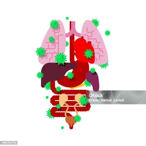 아픈 내부 오르간입니다 바이러스 그리고 박테리아입니다 질병 심장 및 뇌 간 위 식도 그리고 췌 장입니다 신장 그리고 비장입니다 폐입니다 상대를 무척 갈망 인간 질병입니다 병