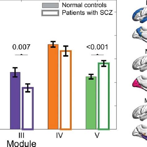 Sc Fc Coupling In Each Module Of Normal Controls Color Filled Bar And
