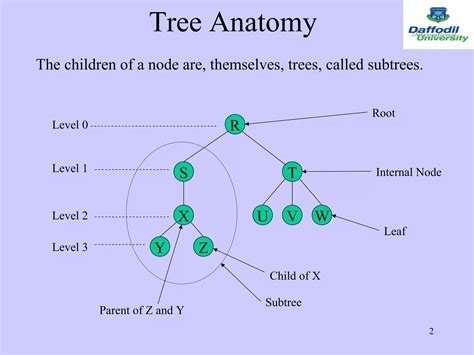 Tree Traversal Ppt Programming Languages Computing