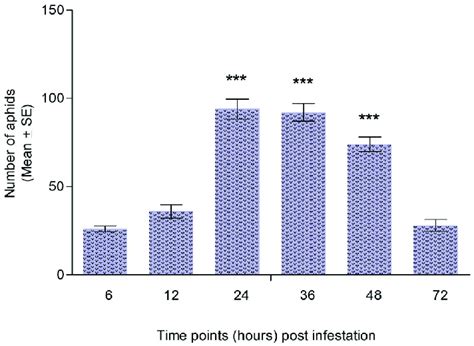 Time Course Aphid Infestation Study Record Of The Mean Number Of